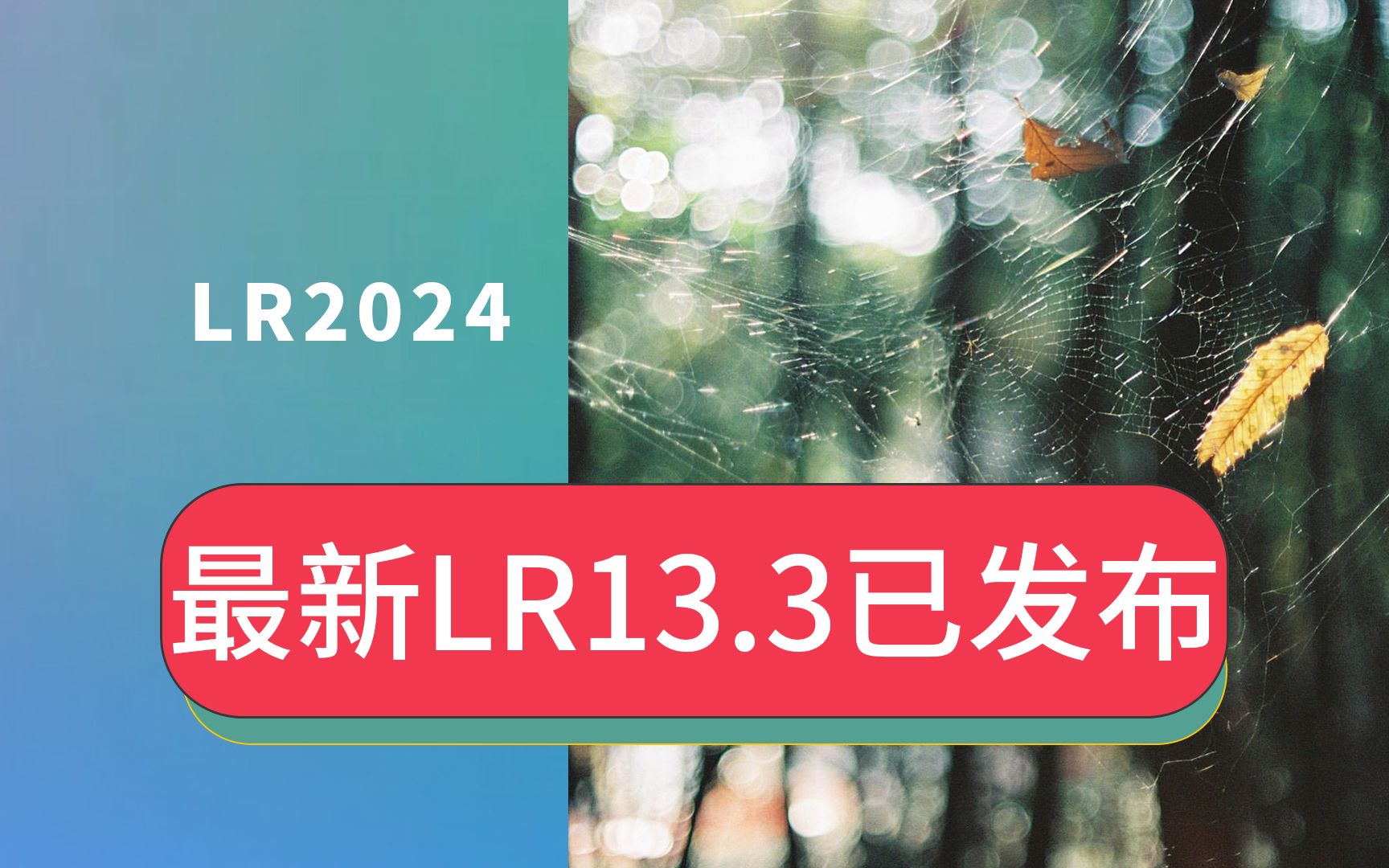 新增AI黑科技2024最新版中文Lightroom 13.3调色软件LR2024一键安装...