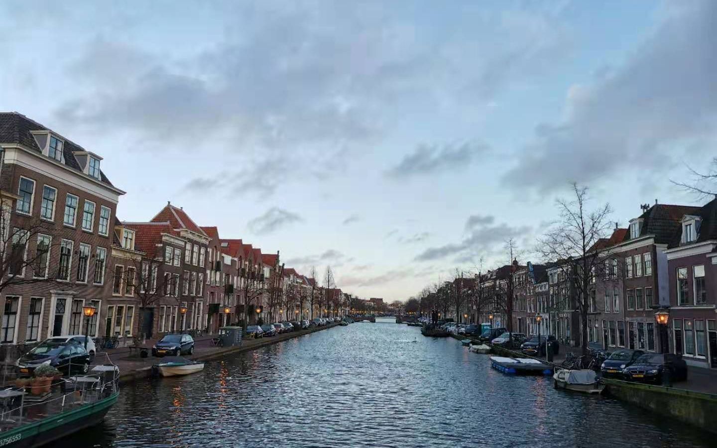 疫情封锁期间的荷兰街头,戴口罩的人有多少?