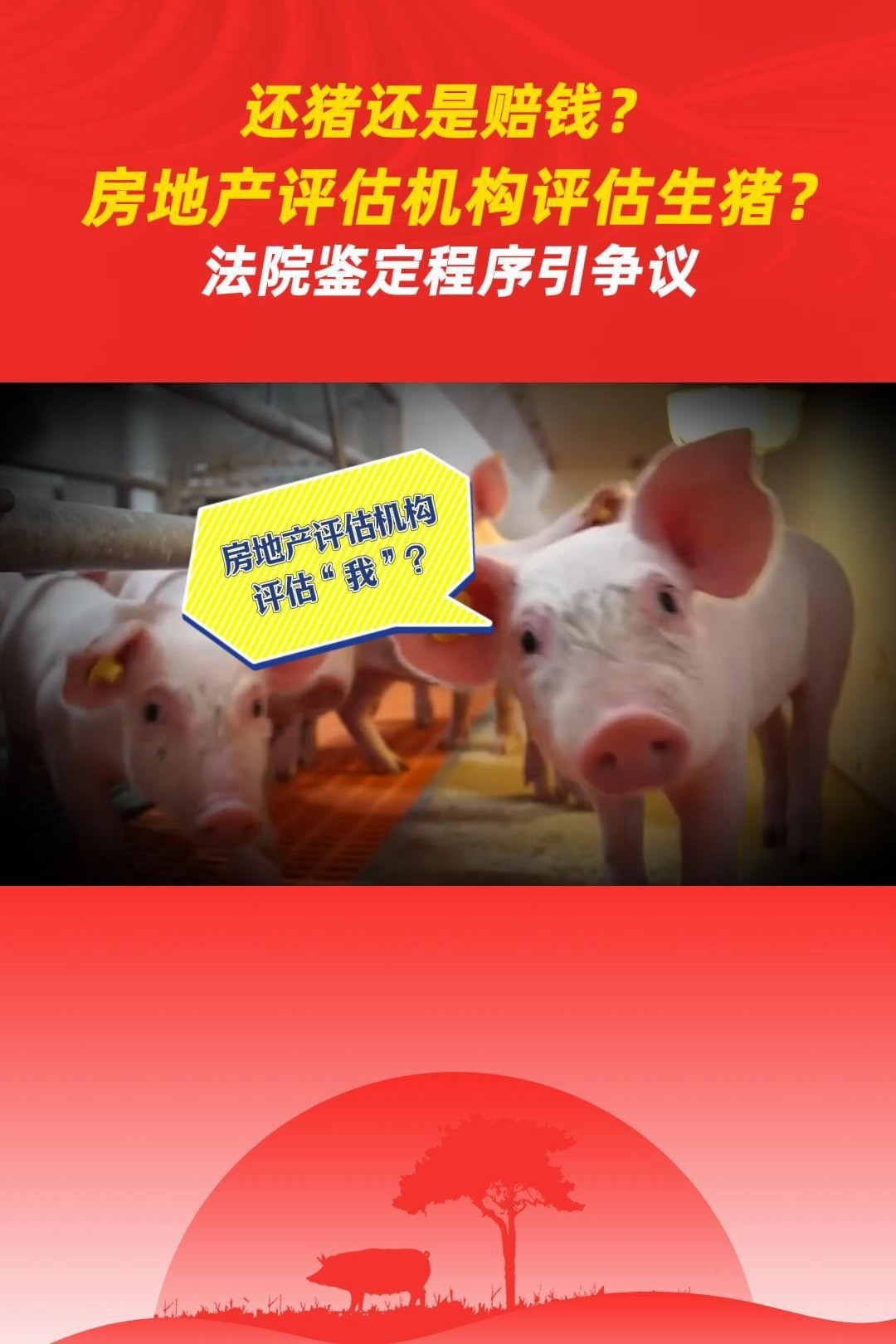 房地产评估机构评估生猪?法院鉴定程序是否合规引争议!