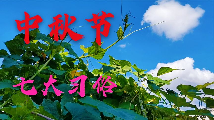 我国四大传统节日之一中秋节的习俗您了解吗?快来一起看看吧