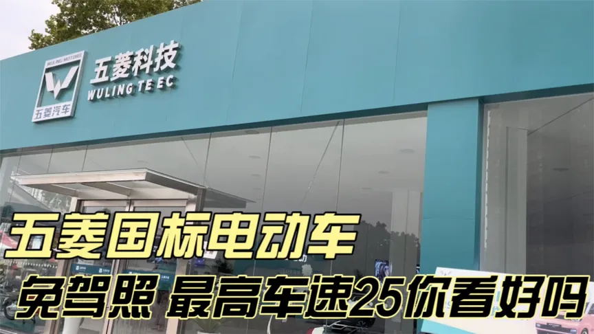 五菱科技的国标两轮电动车 小蓝牌免驾照 最高车速25 续航80公里