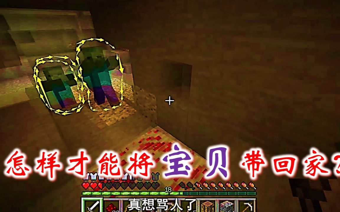 我的世界:要怎样才能将宝贝带回家呢?难道真的要开启指令?