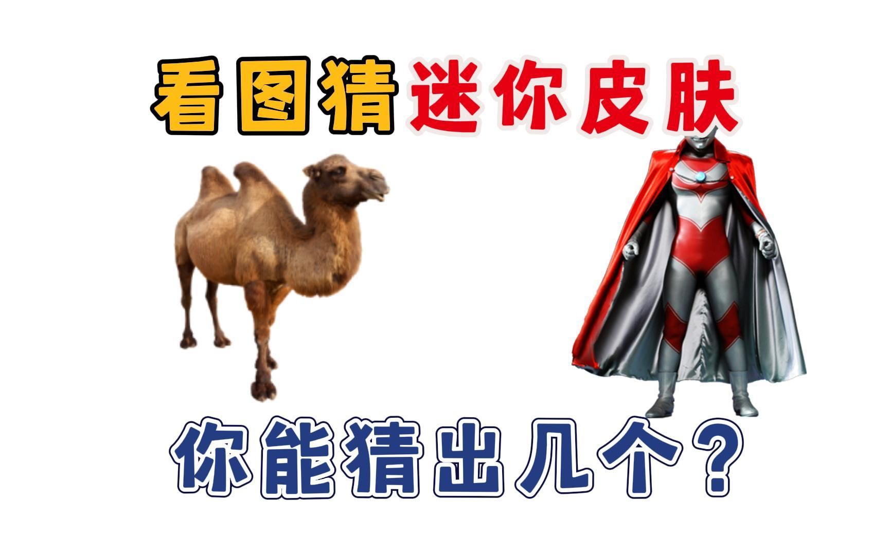 迷你世界:以上图案是迷你的那些皮肤,答对五个以上肯定是老玩家_迷你...