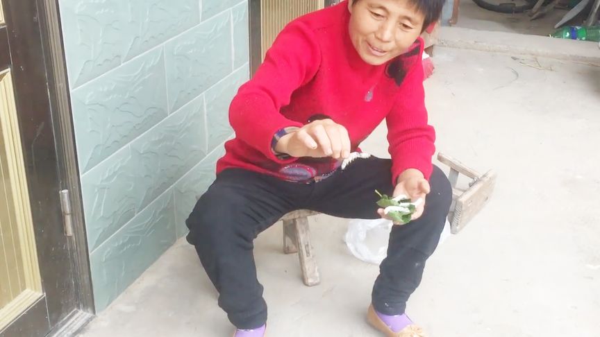 农村的蚕宝宝,被小孩带回去养,有四条都生病了