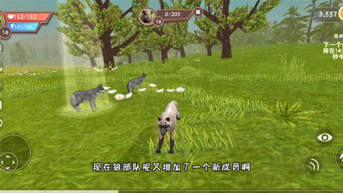 狼模拟器狼宝宝终于长大了,可以提升它的战斗力