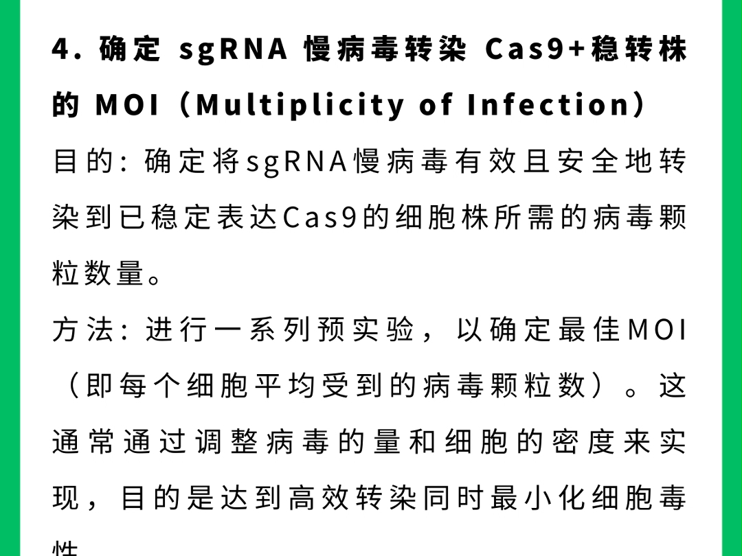 CRISPR文库筛选-sgRNA文库构建