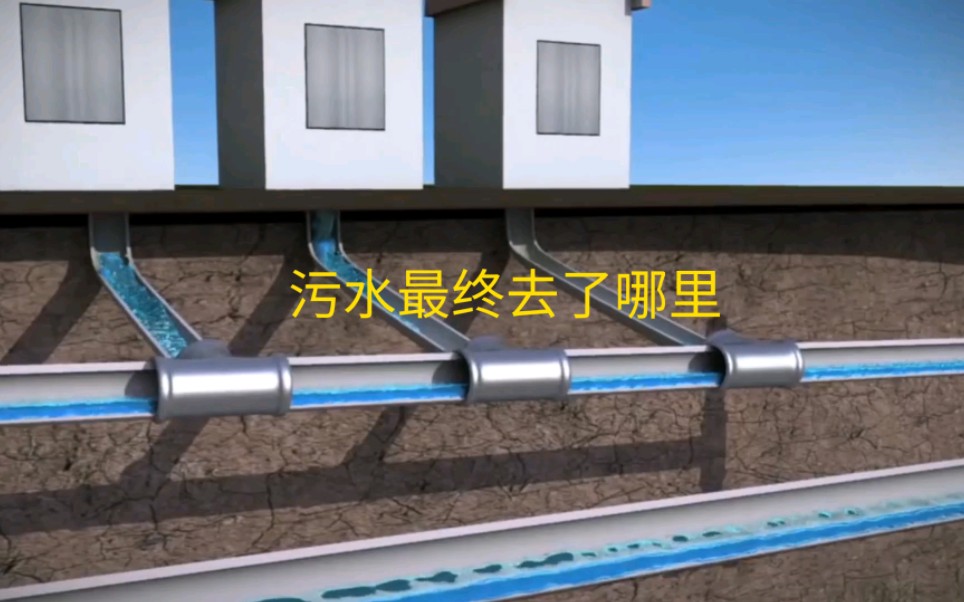 城市中的生活污水最终去哪了,污水处理厂净化污水的流程