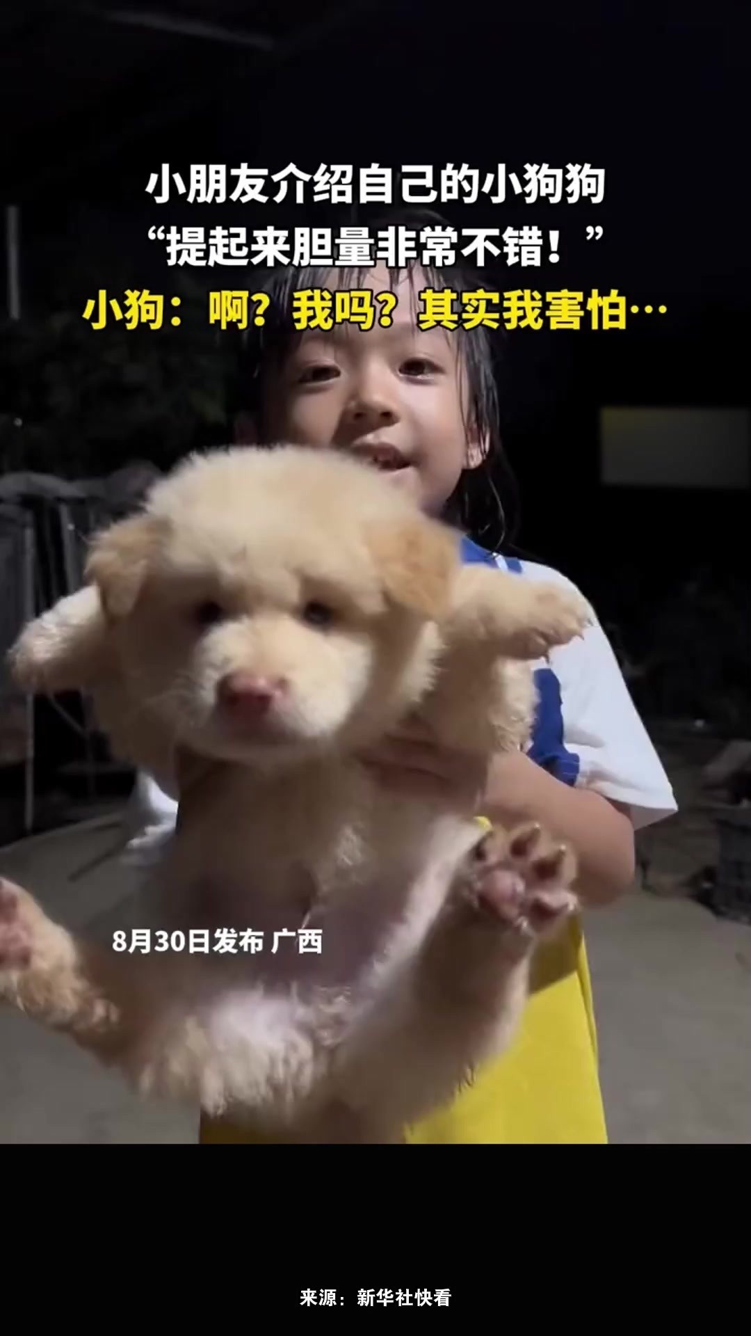 小朋友介绍自己的小狗狗,"提起来胆量非常不错!"小狗:啊?我吗?其实我...