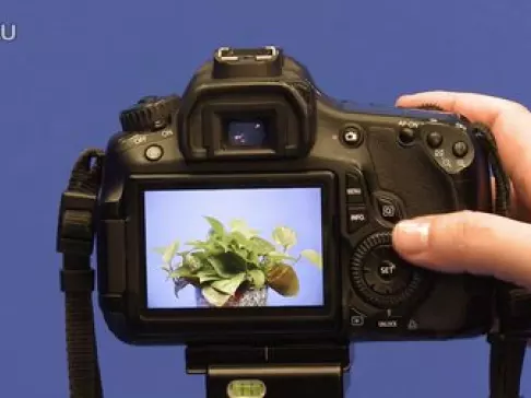 佳能 EOS 60D 数码单反操作教程——回放按钮(跟我学摄影)