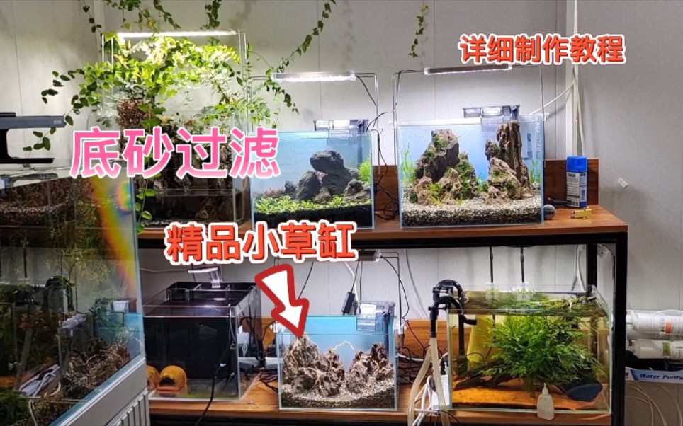 强大的底砂过滤系统“低成本再做一个精品小草缸,无二氧化碳#草缸...