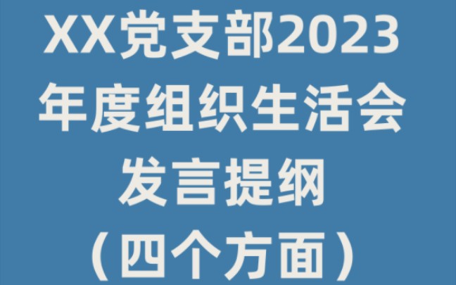 XX党支部2023年度组织生活会发言提纲(四个方面)