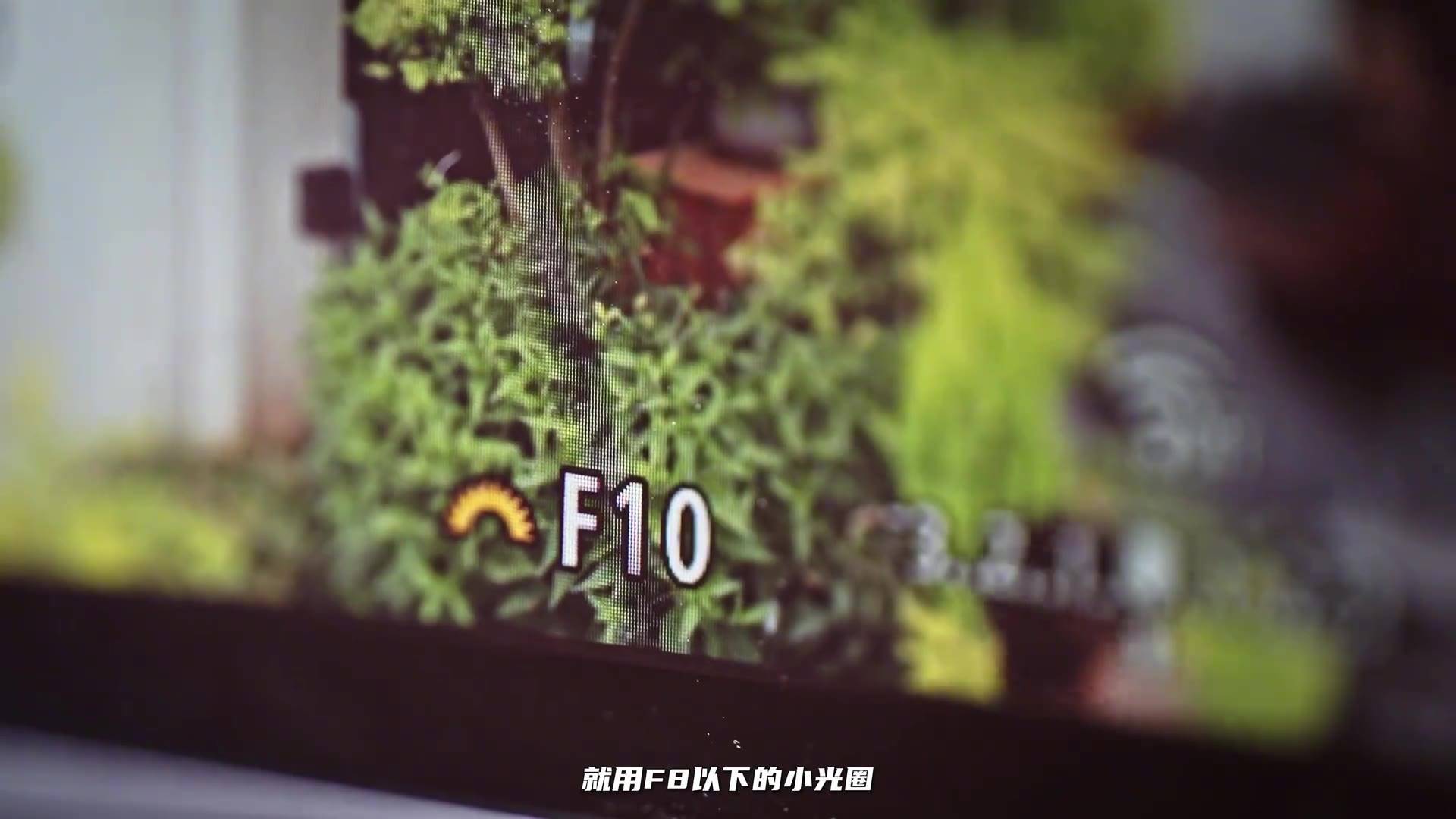 M档就一定专业吗,今天带你认识相机档位