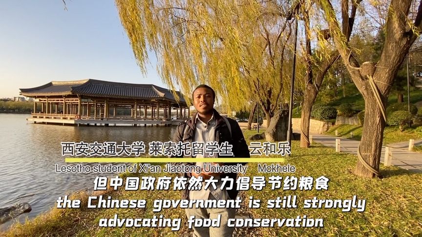 你真的了解一粒米从播种到端上我们餐桌,需要经历怎样的过程吗?