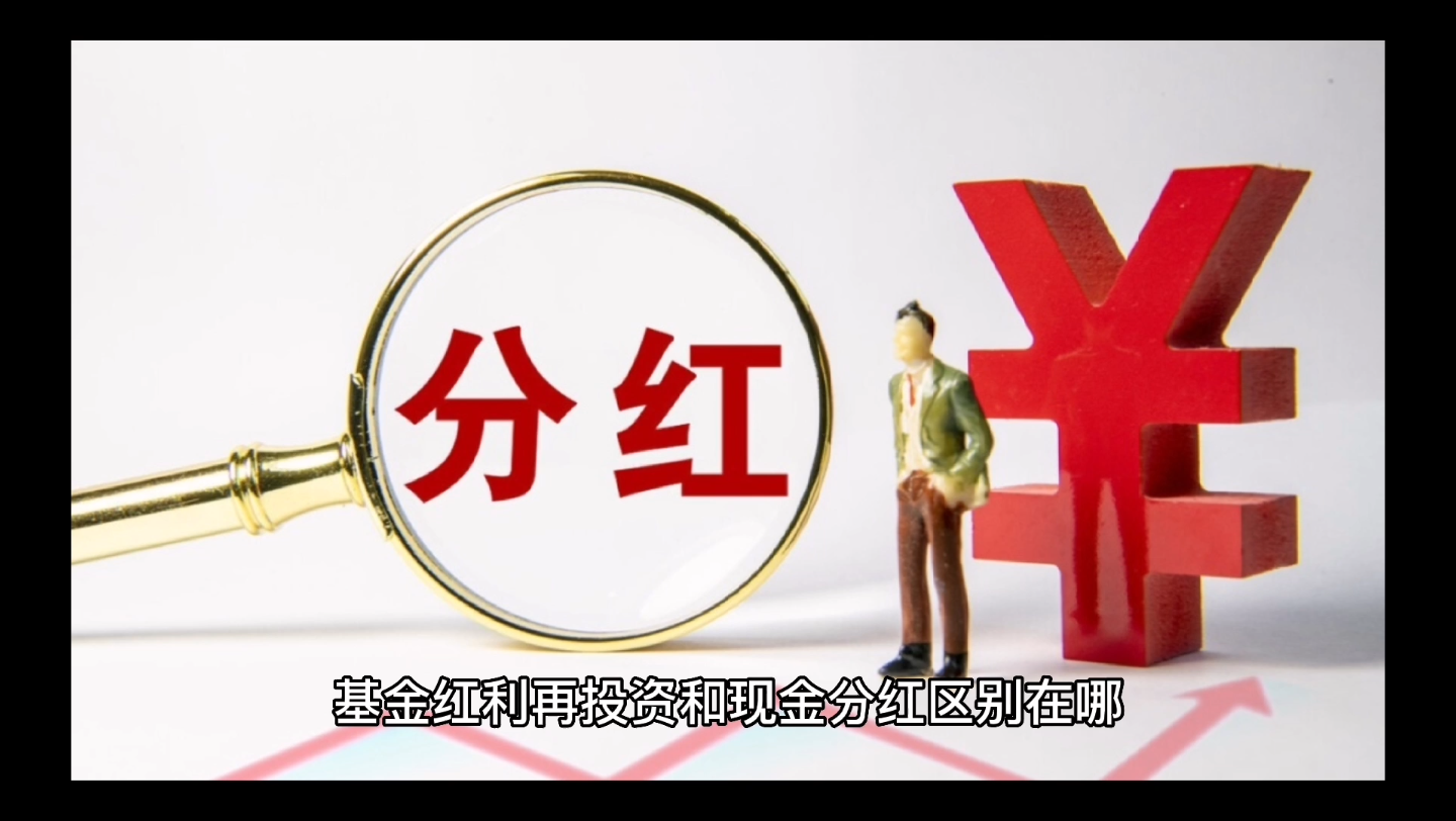 基金红利再投资和现金分红区别在哪