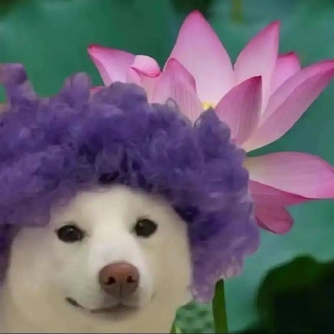 正义使者土狗酱 