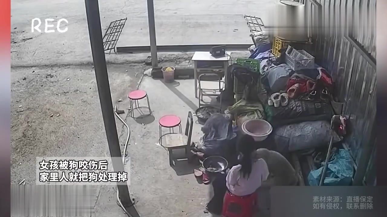 女孩被狗咬伤后,家里人就把狗处理掉