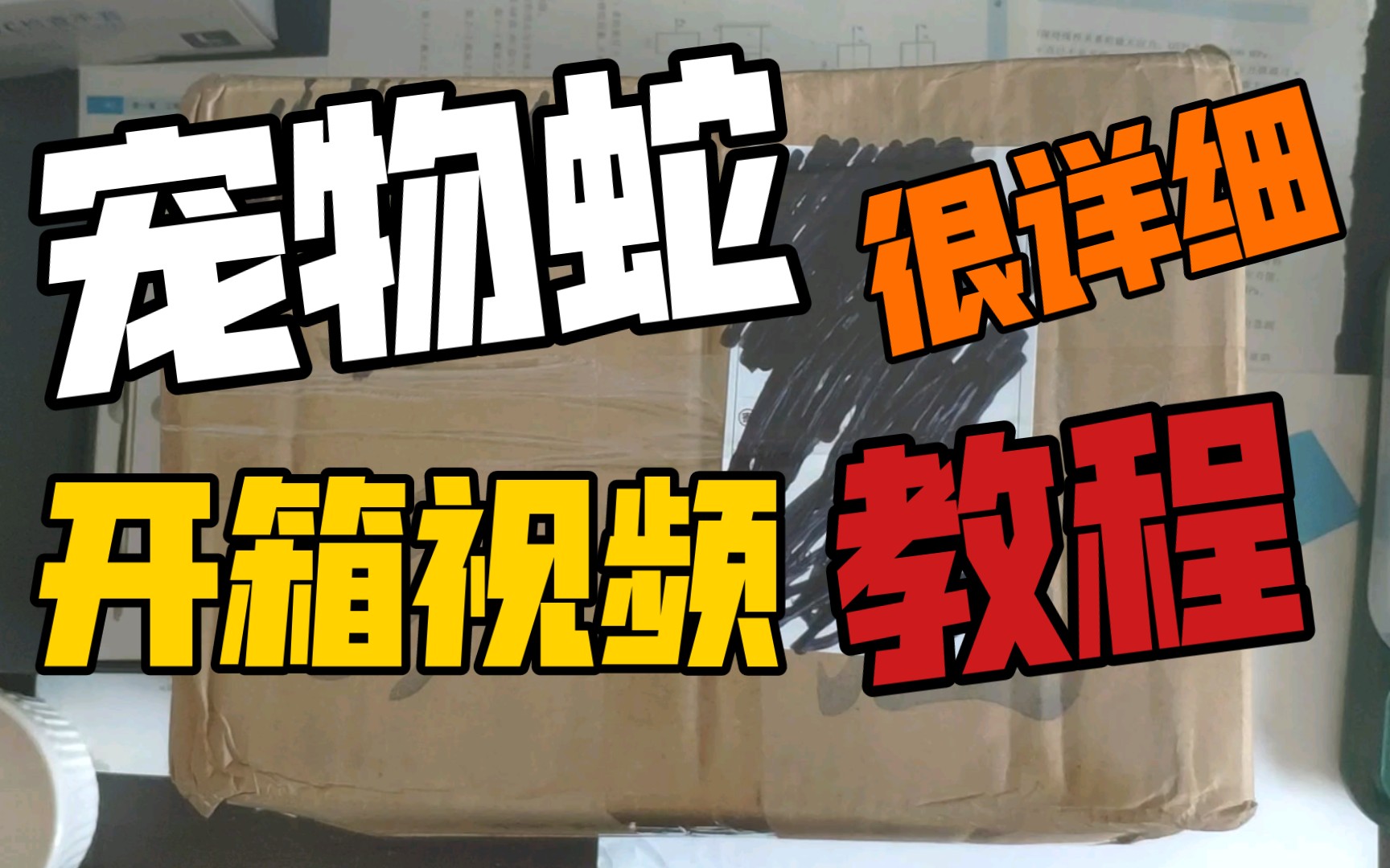 宠物蛇开箱视频,第一次买蛇先学会如何拍摄开箱视频,保障自己的售后...