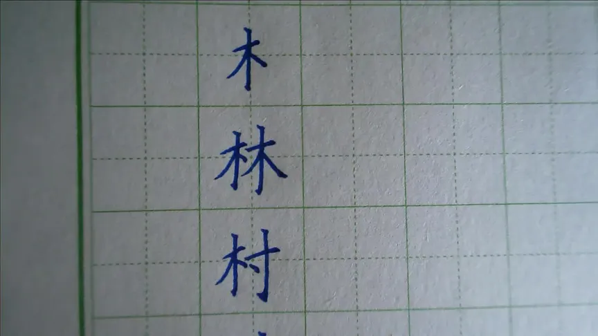 偏旁部首---【木字旁】的写法及例字示范