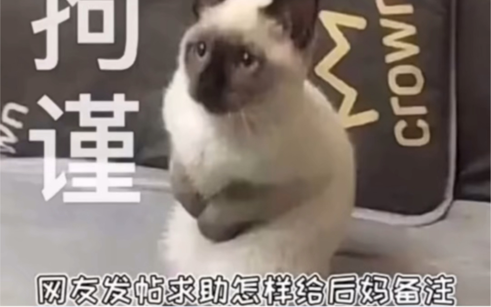 怎么给后妈备注显得有礼貌