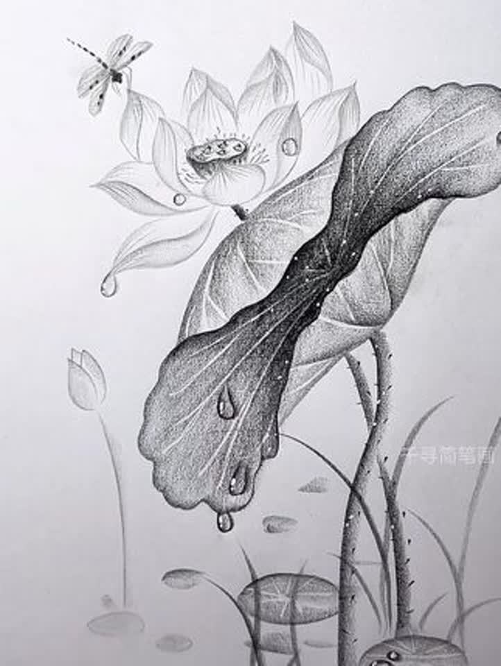 简单画荷花荷叶 #创作灵感 #零基础学画画 #一学就会系列 #学会快去...