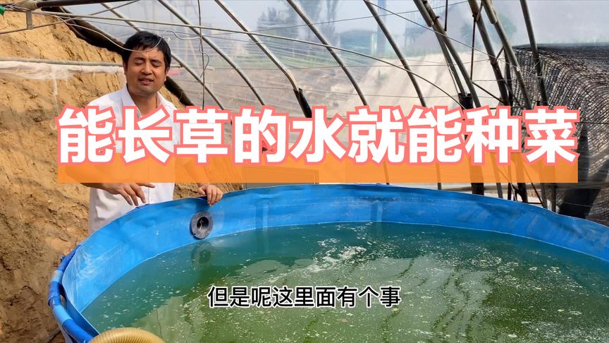 简易无土栽培管理非常简单——4、水源不需要任何消毒杀菌处理