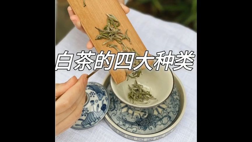 你知道白茶以上的种类嘛