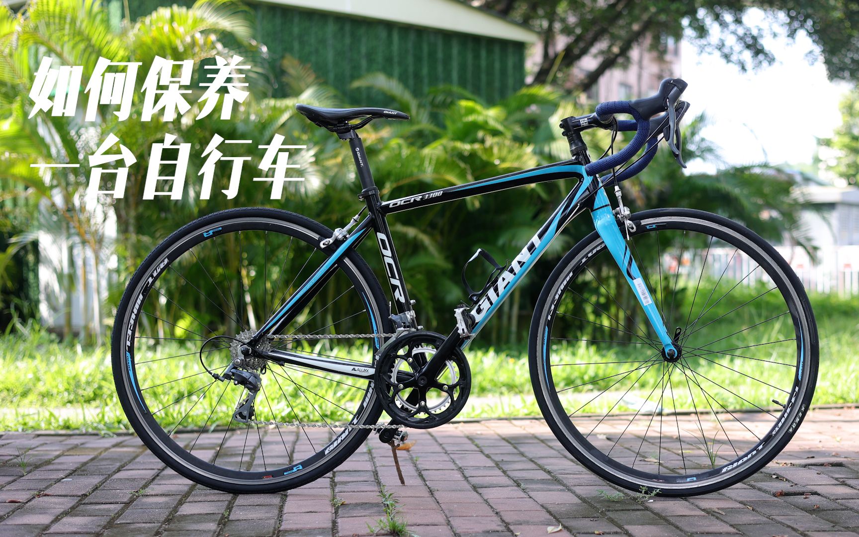 如何保养一台自行车-捷安特OCR3300整车保养#捷安特#美利达#...