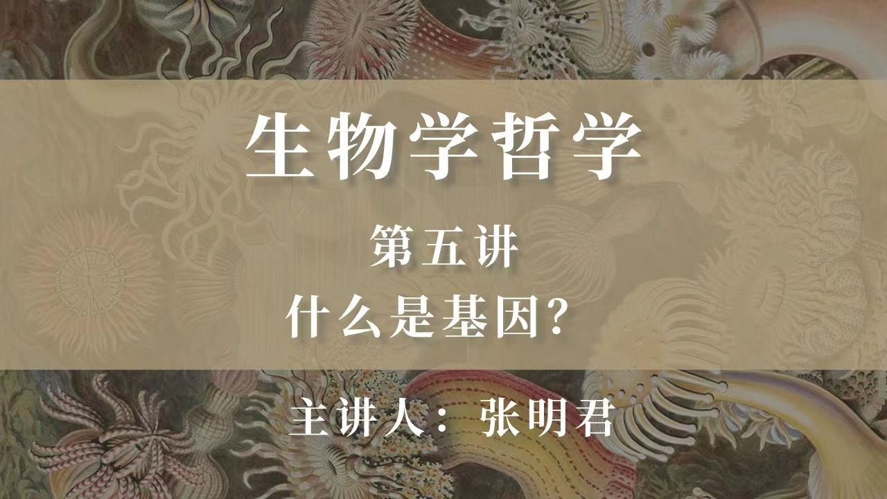 【生物学哲学】第五讲:什么是基因?