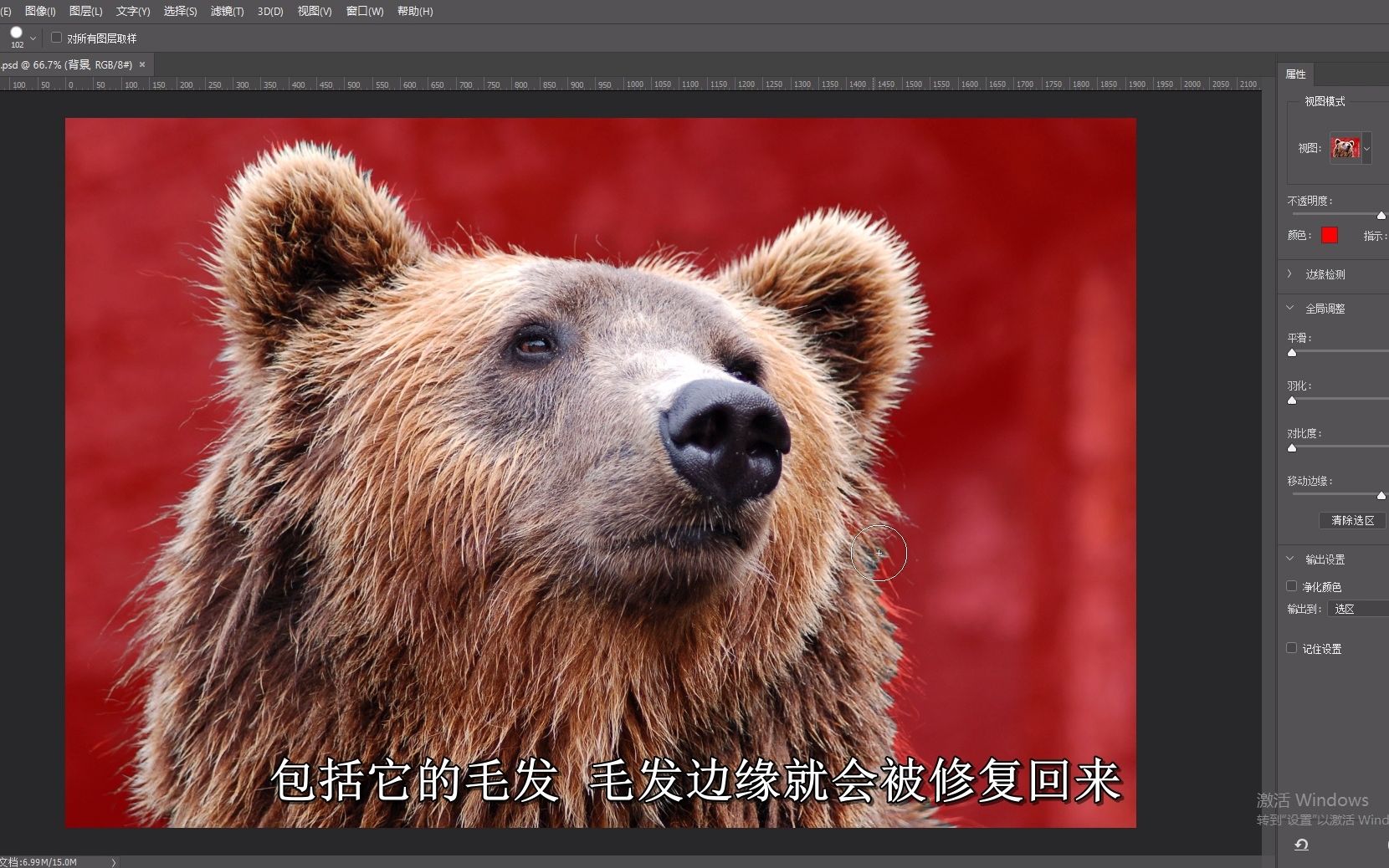 【PS系统教程】教你如何快速抠出毛发-快速选择抠图
