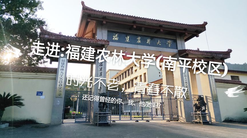 小米椒走进福建农林大学(南平校区),帮老乡寻找回忆