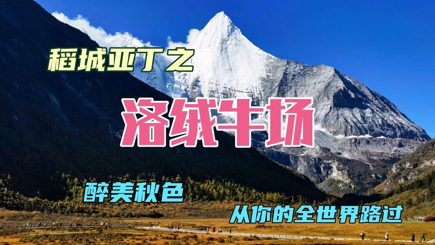 稻城亚丁洛绒牛场,从你的全世界路过拍摄地,十月醉美秋色正浓。
