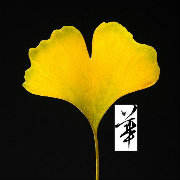 谷华物理 