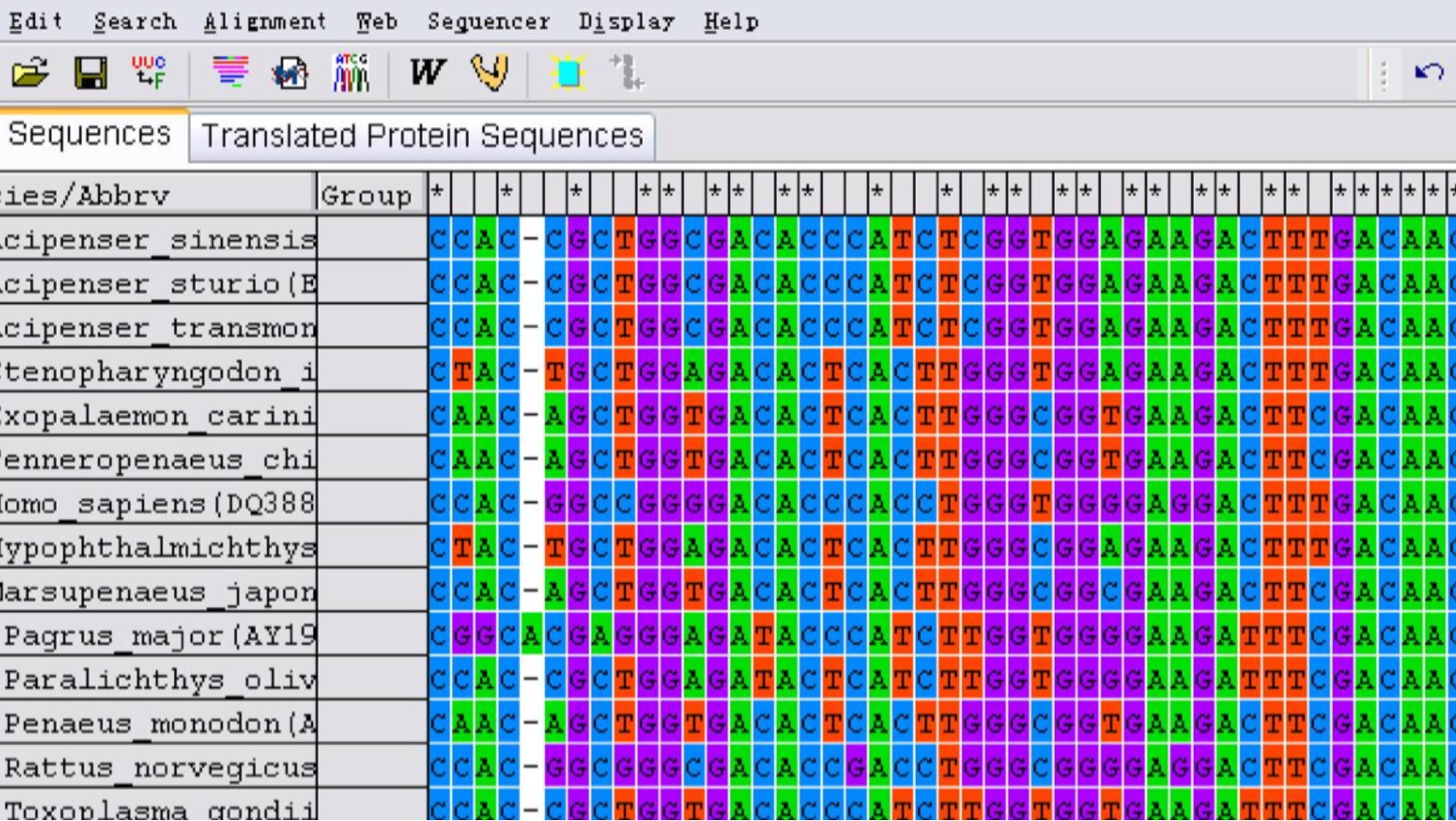NCBI下载序列,mega构建分子进化树