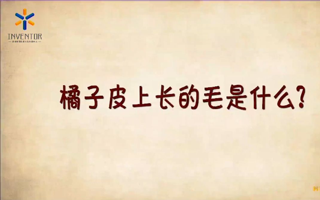 【科普】橘子皮上长得毛是什么