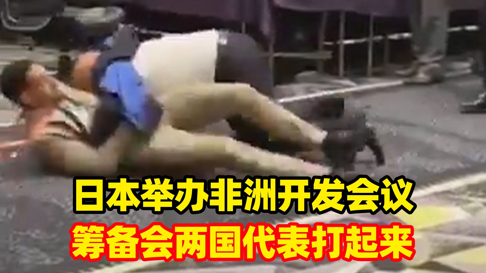 日本举办非洲开发会议,筹备会上两国代表打起来了:阿尔及利亚代表抱...