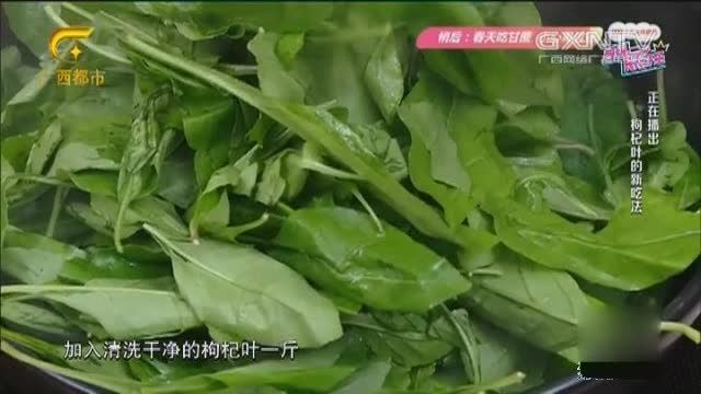 这才是枸杞叶正确的打开方式,教你两种新吃法,营养又美味!
