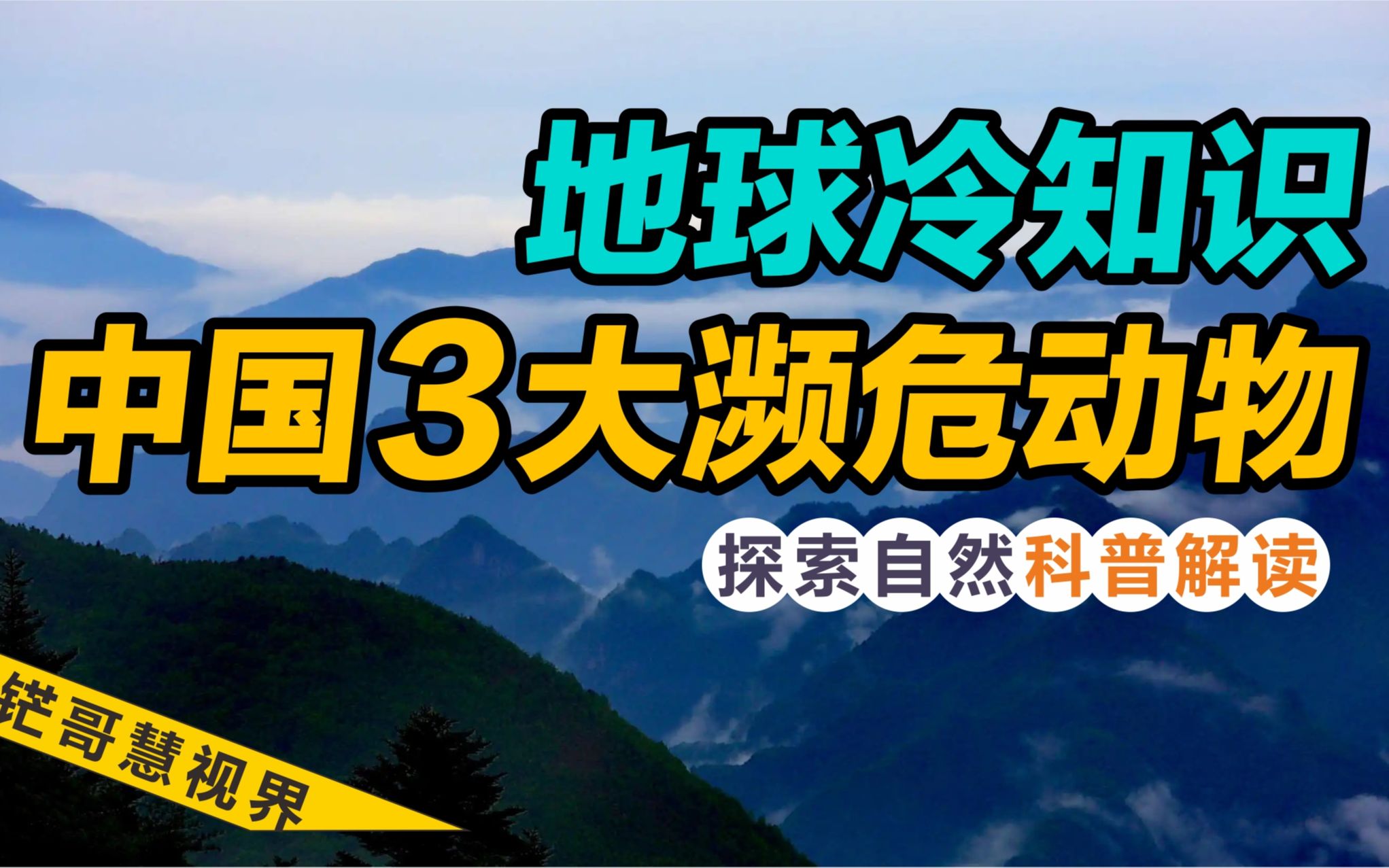 地球冷知识,中国3大濒危动物。曾几何时,它们或许是美丽的传说