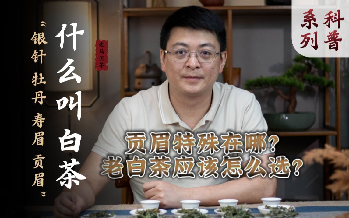 一篇看懂,白茶的派系和所有分类