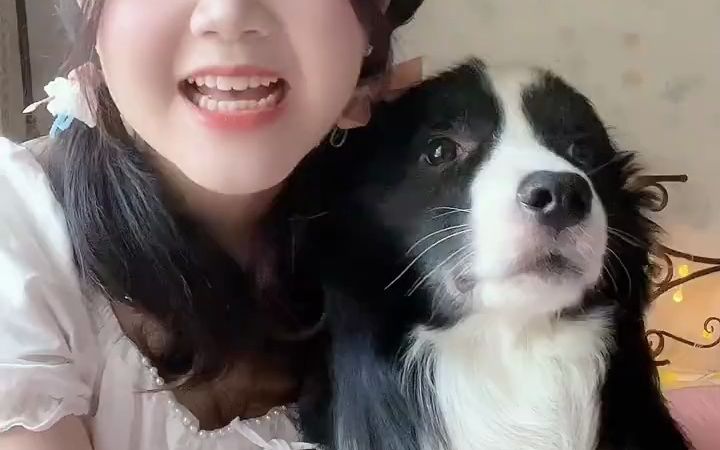 盘点有娃家庭适合养的那些狗