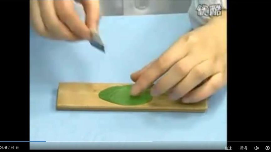 初中生物微课视频 七上 13 观察叶片的结构