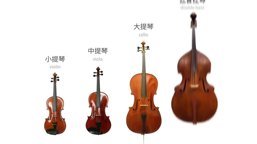 一部短片让你认识管弦乐团的常见乐器