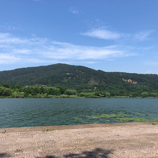 海豚座的吃瓜侠 