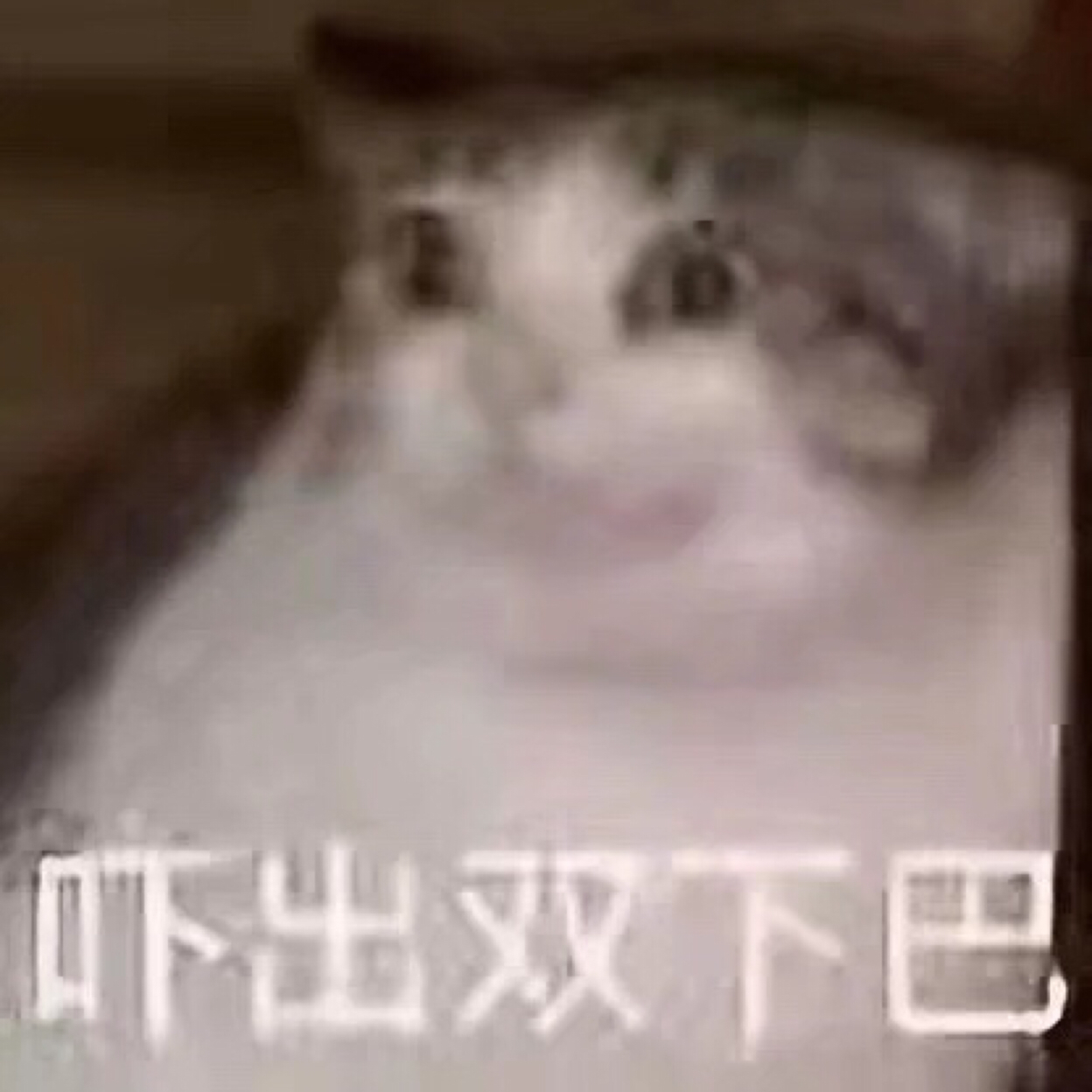 一只烤地瓜丶cc 