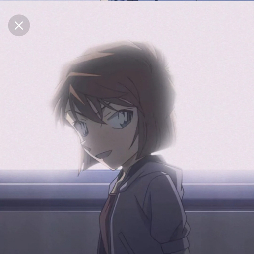 灰原哀代号雪莉 