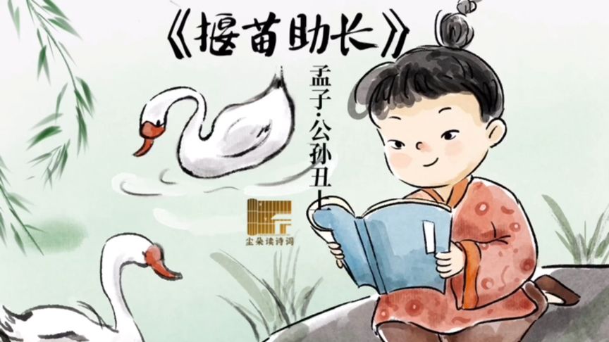 #揠苗助长#孟子#小学生必背文言文 欲速则不达