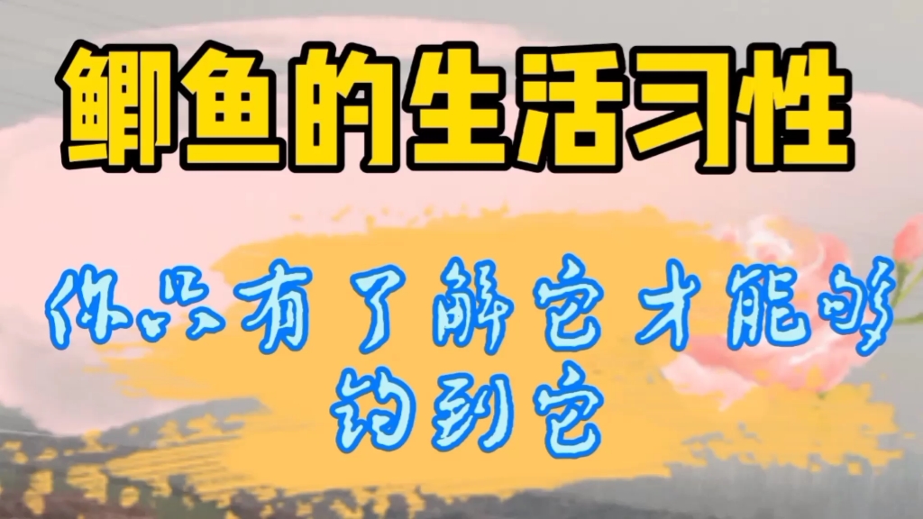 你了解这些鱼类的生活习性吗 ?