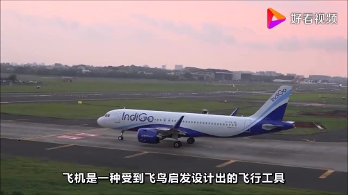 造型奇葩的客机,机翼很像鸟的羽毛,动力消耗可以降低50%