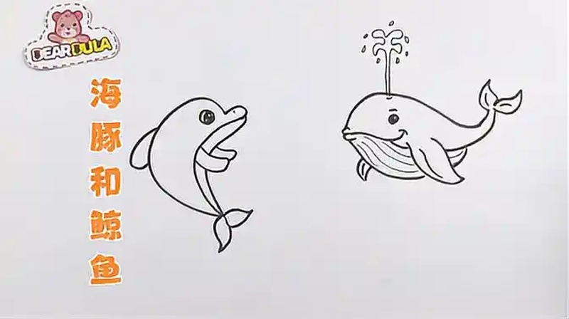 海豚和鲸鱼的简笔画怎么画,海豚和鲸鱼的简笔画
