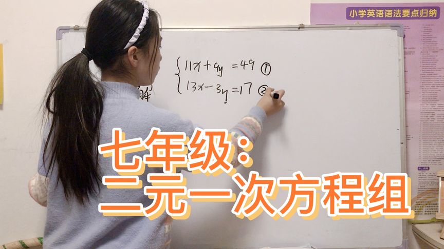 七年级:二元一次方程组