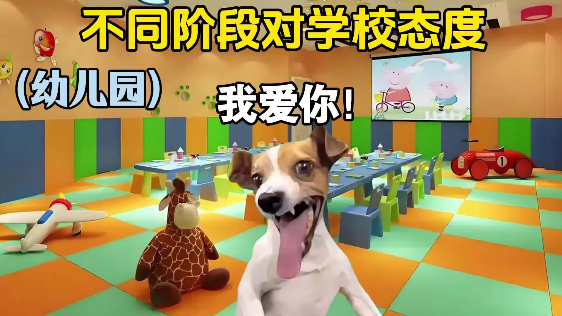 不同阶段对学校的态度!